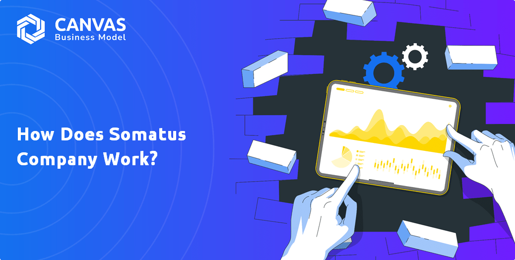 How Does Somatus Company Work? – businessmodelcanvastemplate.com